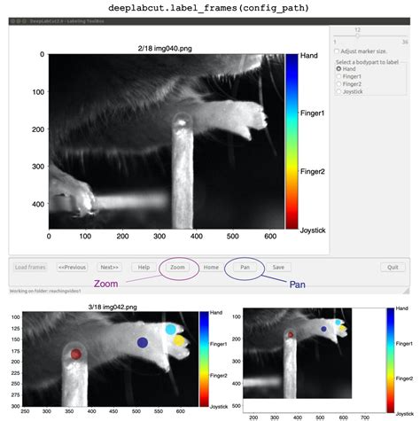 Using Deeplabcut For D Markerless Pose Estimation Across Species And Behaviors