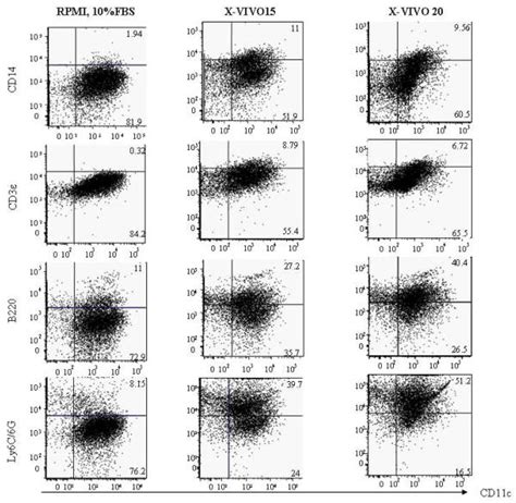 Generation And Maturation Of Bone Marrow Derived Dcs Under Serum Free