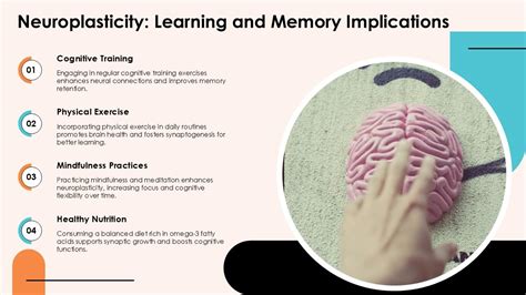 Neuroplasticity Learning And Memory Implications Synaptogenesis Ppt Sample St Ai Ss Ppt Presentation