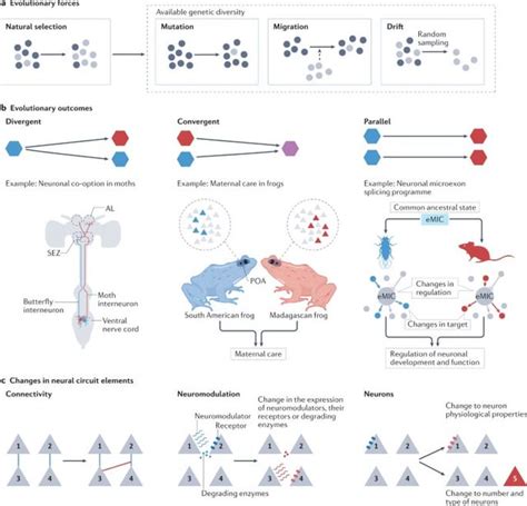 Book Introduction To Linear Regression Analysis Wiley 6th Edition 2021 Douglas C