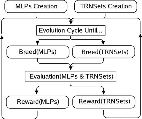 Both Populations Evolve On Different Eas But They Join To Check The End Download Scientific