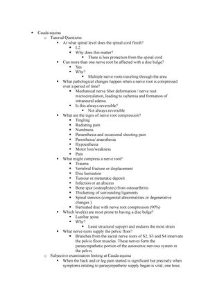 UMNL Vs LMNL Diffrences Between An Upper Motor Nruronlesion And A Lower Motor Neuron Lesion
