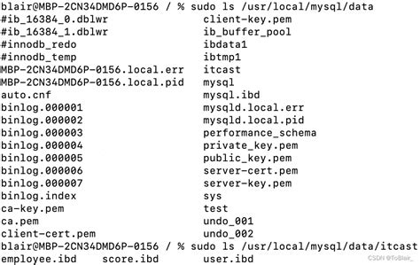 【数据库学习笔记】进阶篇ibd文件 Csdn博客