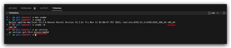macOS darwin amd vs Darwin x All In One xgqfrms 博客园