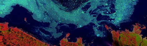 Web GIS Application Field Data Acquisition System