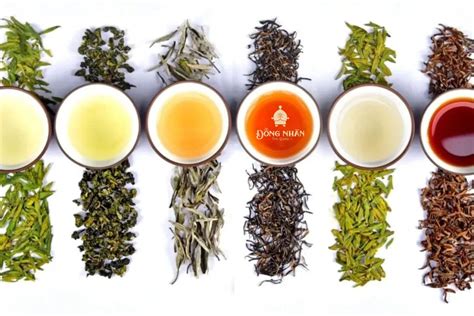 Lo I Tr Ch Nh C A Trung Qu C