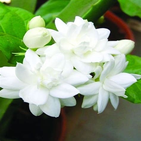 আল্লাহ Bmw সম্পর্কে দশটি অজানা তথ্য ১ প্রতিষ্ঠা এবং ইতিহাস বিএমডব্লিউ বায়ারিশে মোটরেন