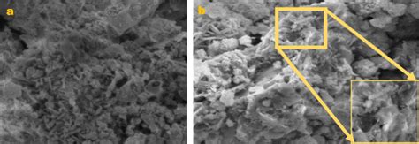 Electron Micrographs For Powdered Coal Fly Ashes A Rbfa B Mbfa