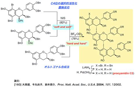 天然物の全合成 Ohmori Ando research group