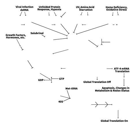 Signaling Pathways丨gempharmatech