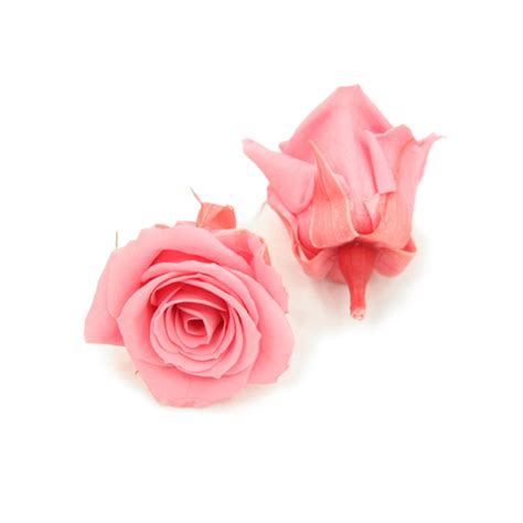 상품 상세보기 스프레이 장미8송이 스프레이 장미258p슈가핑크 070 47