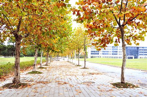 南京理工大学泰州科技学院 大数据中心 江苏招生考试网