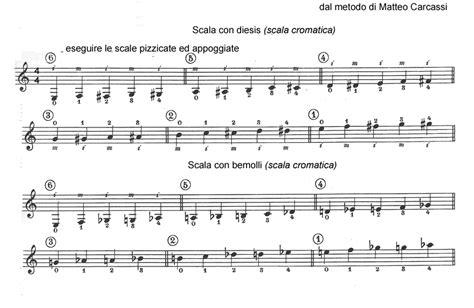 La Scala Con I Diesis Ed I Bemolli Scala Cromatica