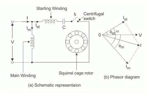 Split Capacitor Motor Wiring Diagram