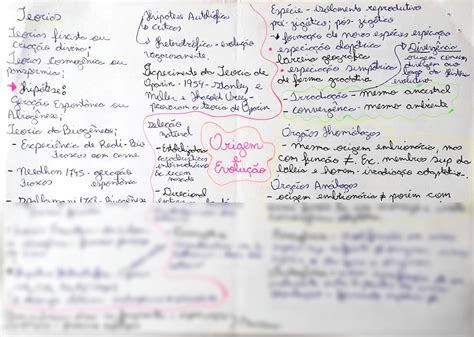 Solution Origem E Evolu O Mapa Mental Studypool
