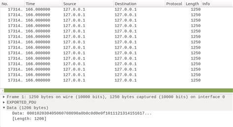 C Udp Header Is Filled More Than What It Is Meant To Be 42