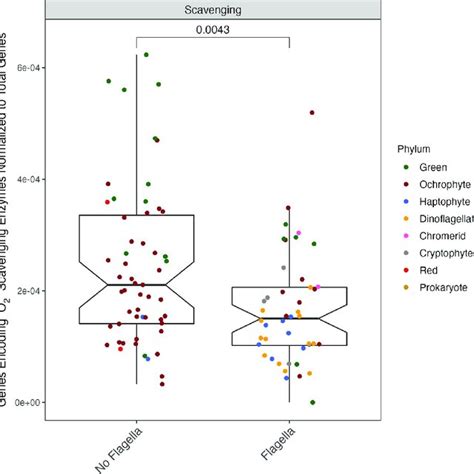 Comparison Of Total Number Of Genes Encoding O2•− Scavenging Enzymes