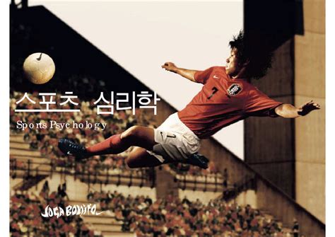 스포츠심리학 스포츠 심리학의 개념과 중요섬 및 스포츠 심리학 적용 사례 사회과학