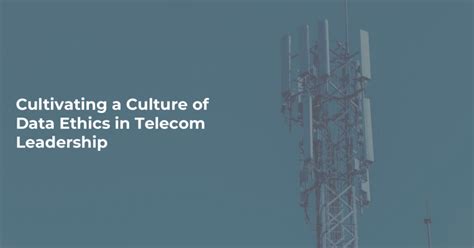 Risk Management In The Era Of Telecom Data Portability