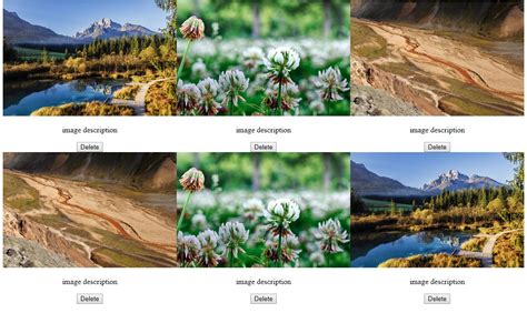 Jquery Removing Images By Clicking On Delete Button Stack Overflow