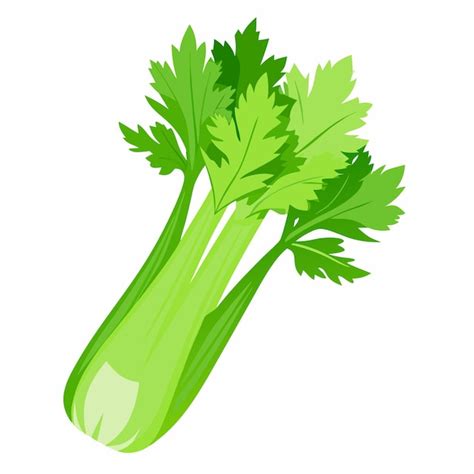 Celery Vector Design Premium AI Generated Vector