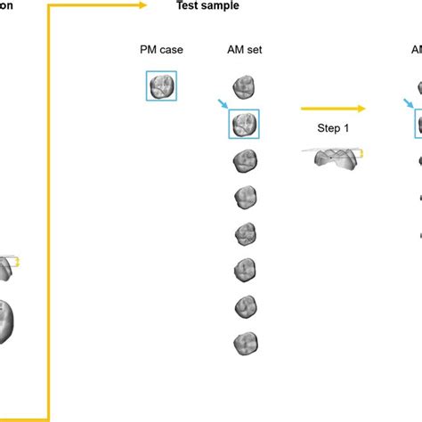 Schematic Representation Of The Practical Implementation Of The Method Download Scientific
