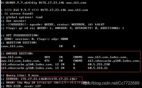 使用pingnslookupdig排查dns问题ping 指定dns Csdn博客 使用pingnslookupdig排查dns问题ping 指定dns Csdn博客