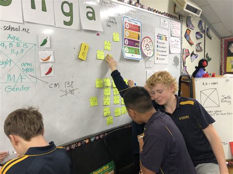 Dissecting Data Wairakei Primary School