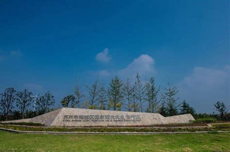非凡十年 度假区（阳澄湖镇）：高质量谱写新时代鱼米之乡苏州样板的相城篇章发展建设企业