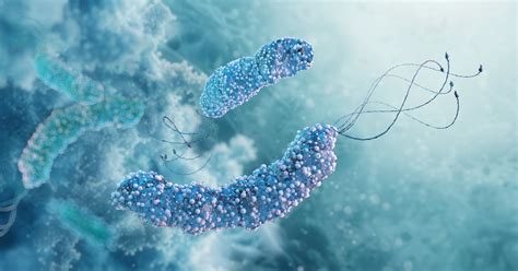 Correlation ‘dressed Up As Causation The Reality Of Microbiome Science