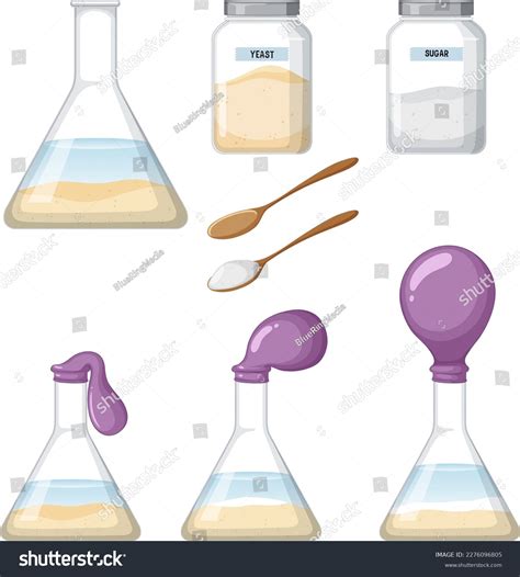 Yeast Respiration Science Experiment Illustration Stock Vector Royalty