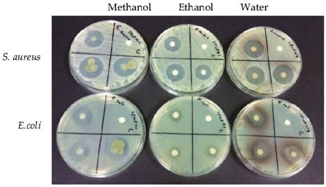 Disc Diffusion Assay Of Flesh Against Top Row S Aureus And Bottom Row