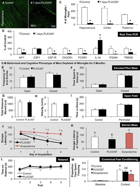 Figure 1 From Colony Stimulating Factor 1 Receptor Signaling Is Necessary For Microglia