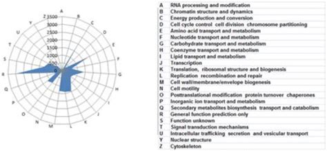 Functional Assignment Of Metatranscriptome Reads Using Blastx Against