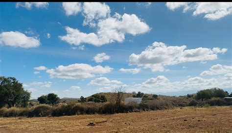 Subjectivity Of Morality By Those Who Should Know Better By Cathreaf May 2025 Medium