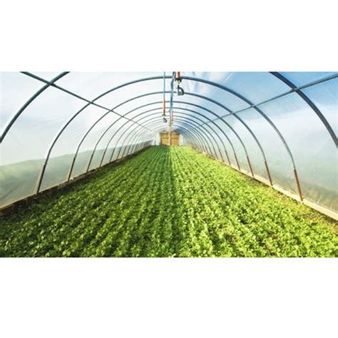 Graphics Flashcards Quizlet