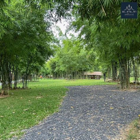 7 ที่พักแก่งคอย 2024 จ สระบุรี ที่พักเปิดใหม่ ชะอม มวกเหล็ก ติดน้ำตก สวยๆ ราคาถูก