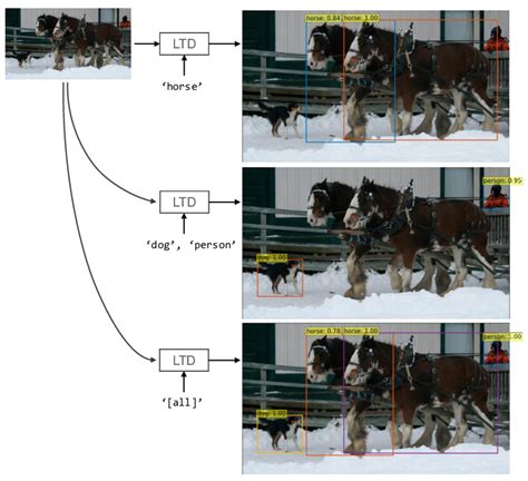 Language Targeted Detector Ltd Detects All The Target Objects In An Download Scientific