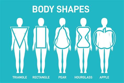 Gender Neutral Body Shapes Triangle Rectangle Apple Pear And Hourglass 46366182 Vector Art At