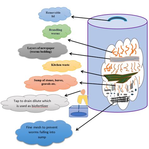 Vermicomposting Process Diagram Composting Vermiculture Toilets