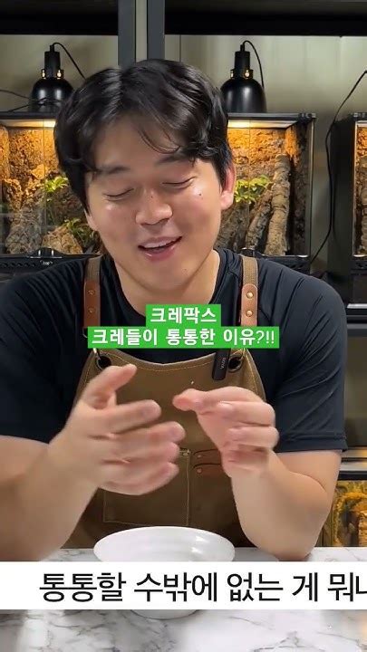크레스티드 게코 통통하게 만드는 방법슈퍼푸드는 이렇게 주세요 크레스티드게코 크레스티드게코먹이 Youtube