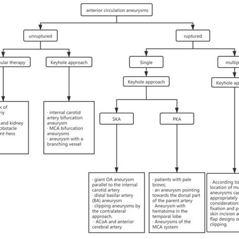 A Clinical Algorithm Guiding Clinicians To Choose The Best Approach