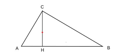Euclids Fifth Postulate The Inside Story Mapping Ignorance