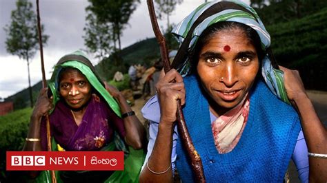 මලෙයියහ දමිල ප්‍රජාව දින 15ක් කිලෝ මීටර් 248 ක් දුර පා ගමනින් ගොස් කළ ඉල්ලීම කුමක් ද Bbc