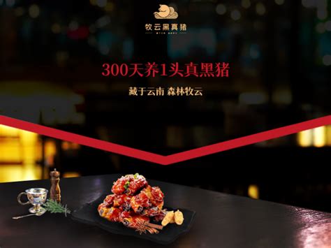 【牧云黑真猪】黑猪肉现代风品牌形象图设计牧云黑真猪 站酷zcool