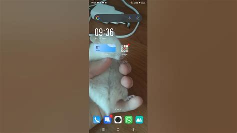 как сделать картинку с прозрачным фоном 😀👍 Youtube