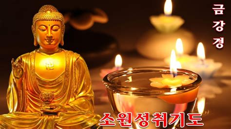 뜻밖의 부와 행운을 불러오는 신비한 주문 🌷 생각지 못한 큰 돈이 들어온다 돈을 끌어당기는 신비한 명상음악 🙏 재물 행복 행운 성공 부자 파동음악 Youtube