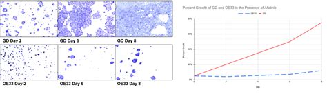 The Growth Curve Basis Phoenix