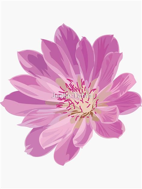 Bitterroot Flower Sticker For Sale By Jtahta Redbubble