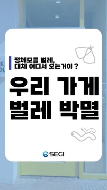 여름철 벌레 고민 🕷 세기와 함께 해결하세요 🧊 Youtube